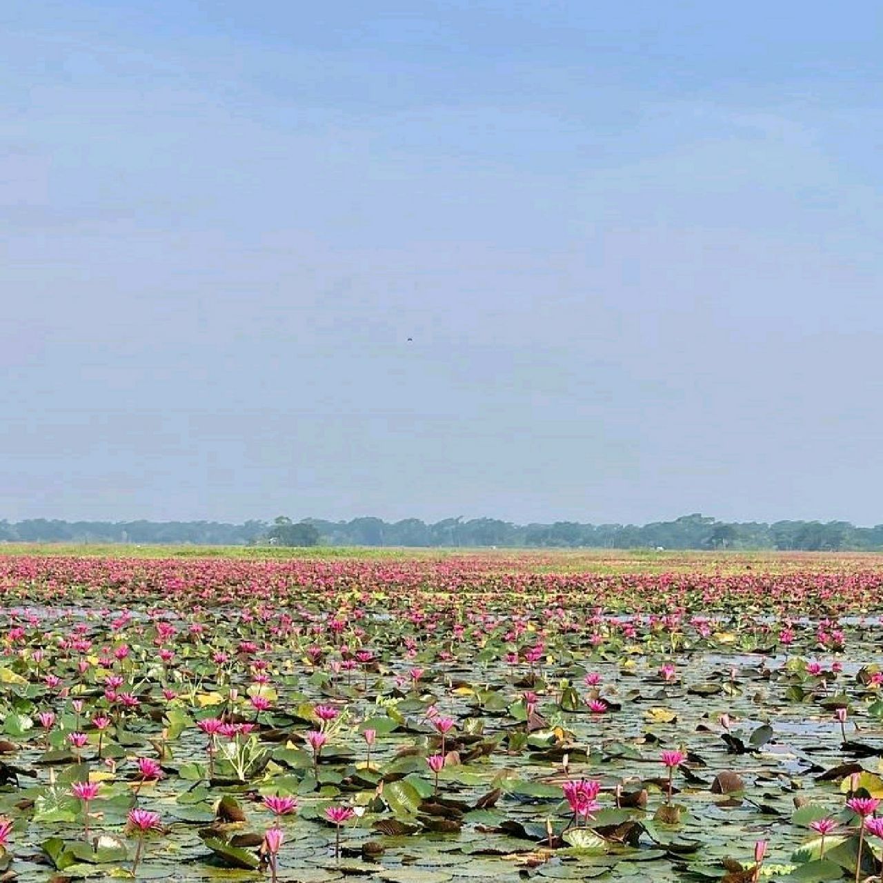 Barisal 2023 Top Things to Do - Barisal Travel Guides - Top Recommended ...