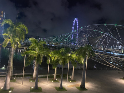 Helix Bridge Top View