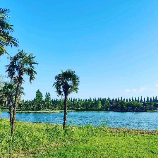 Chongming Island Travel Guide 2024 - Things to Do, What To Eat & Tips ...