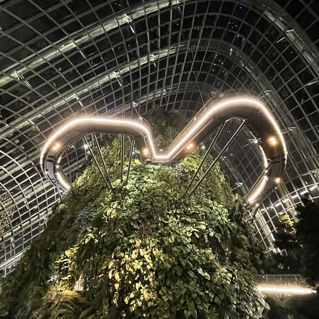 Misting timing at Cloud Forest | Trip.com Singapore