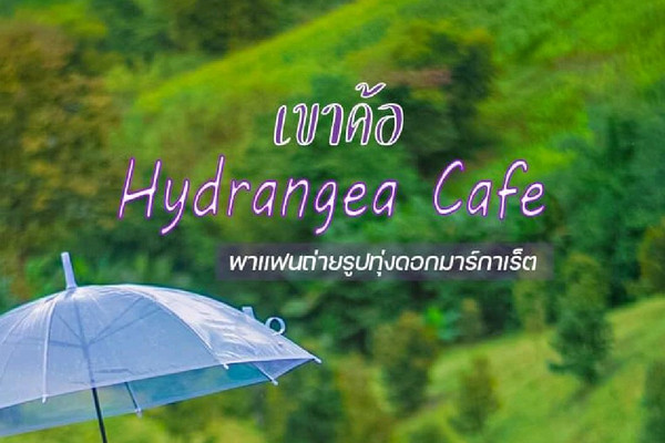 Hydrangea Cafe | Trip.com อำเภอ เขาค้อ