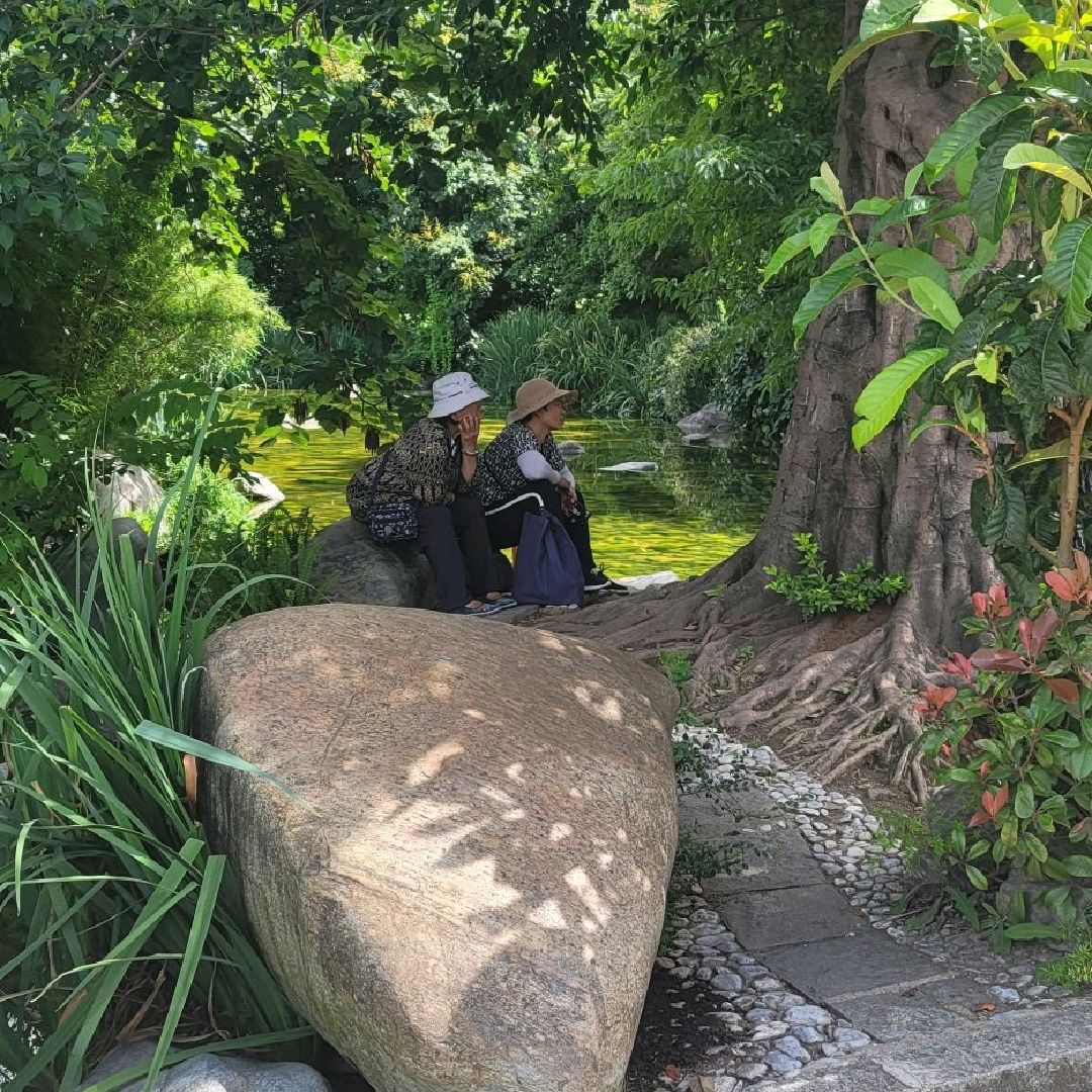 Lijiang 2023 Top Things to Do - Lijiang Travel Guides - Top Recommended ...