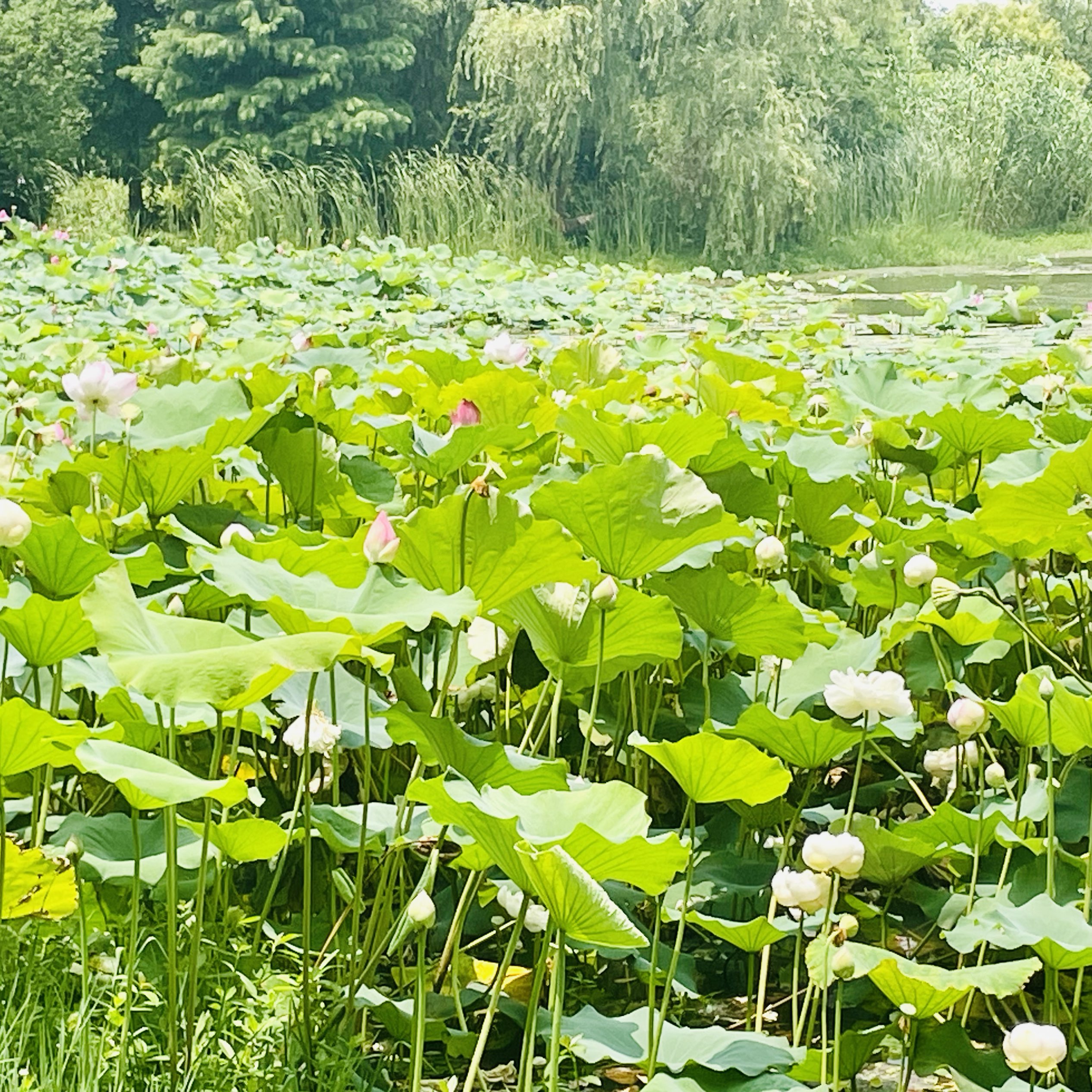 Zhenjiang Travel Guide 2023 - Things to Do, What To Eat & Tips | Trip.com