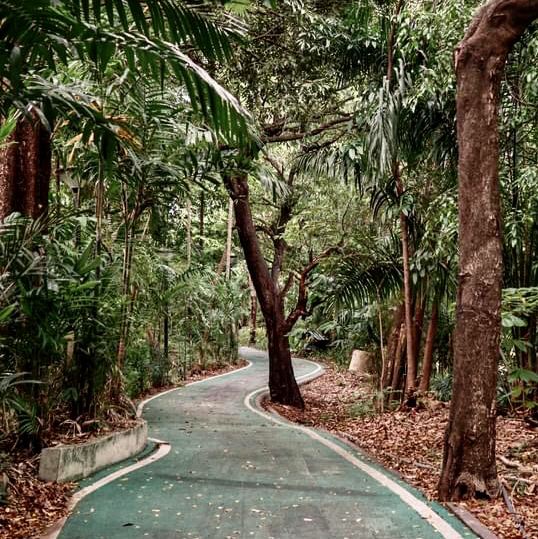 Suan Rod Fai Park | Trip.com Bangkok Travelogues