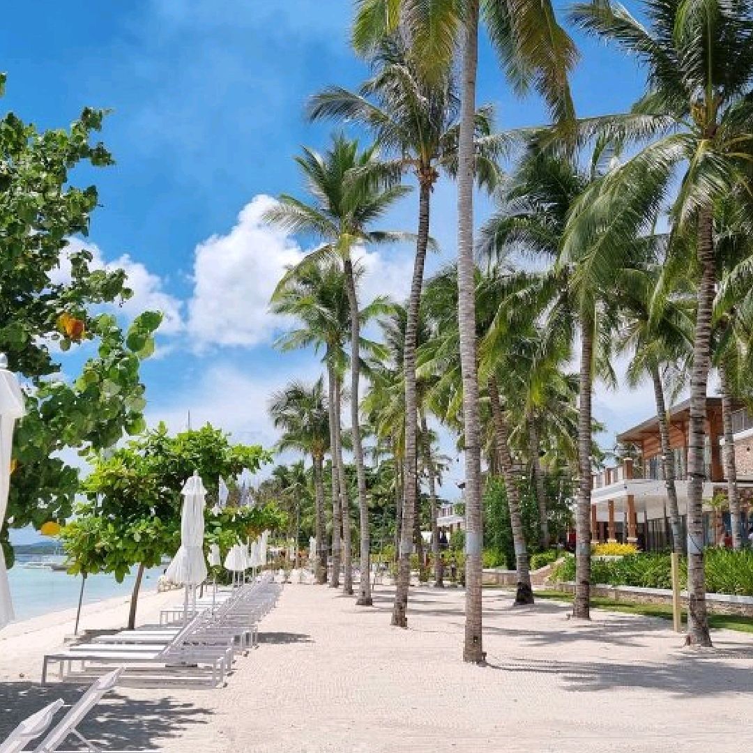 Things to Do in Panglao Island in 2024 - Top Attractions, Local Food ...