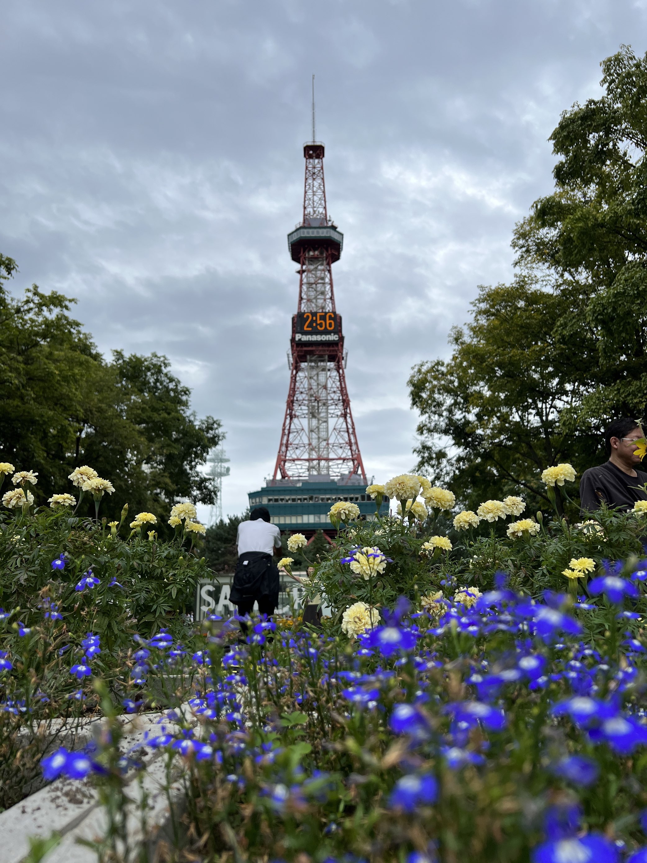 Hokkaido Travel Guide 2024 - Things to Do, What To Eat & Tips | Trip.com