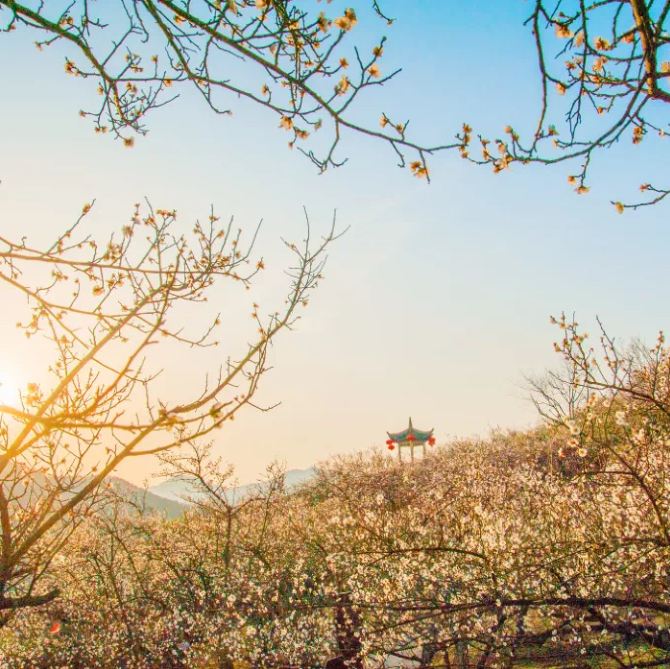 Keqiao’s town | Trip.com Shaoxing Travelogues