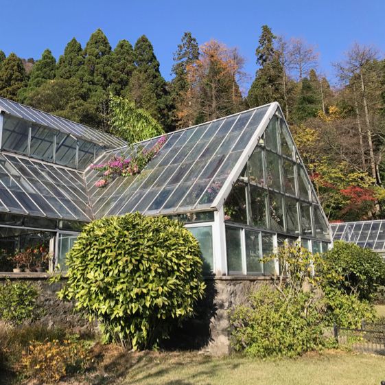 Botanical Garden, Lushan Mountain | Trip.com Lushan Travelogues