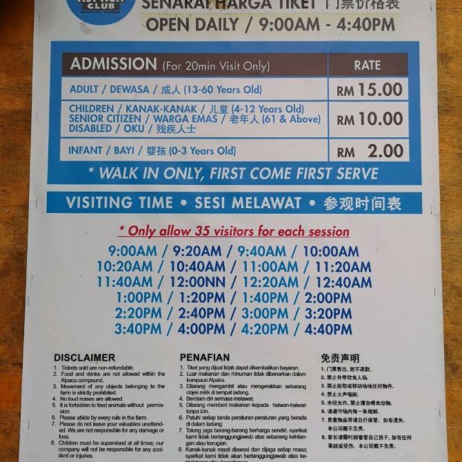 Alpaca Club | Trip.com Kundasang Travelogues