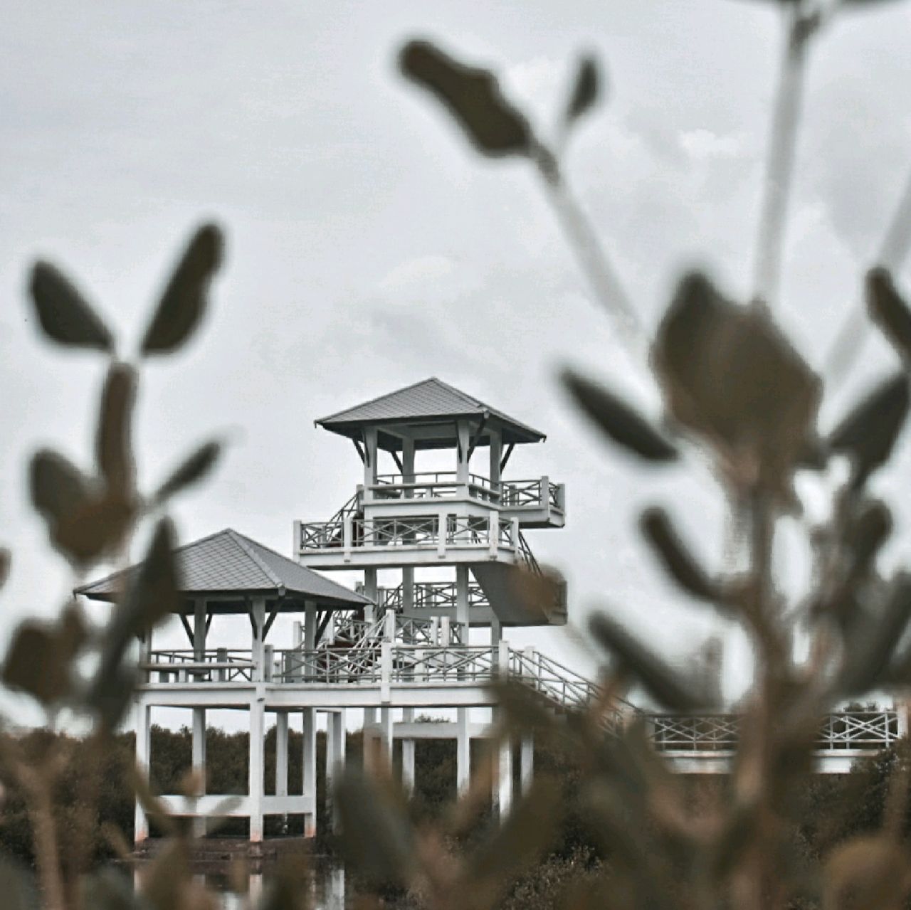 Pattani 2023 Top Things to Do - Pattani Travel Guides - Top Recommended ...