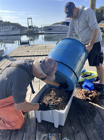 Stewardship Session: Clam Barrel Preparation | 3690 Cedar Beach Rd 날짜 및 ...