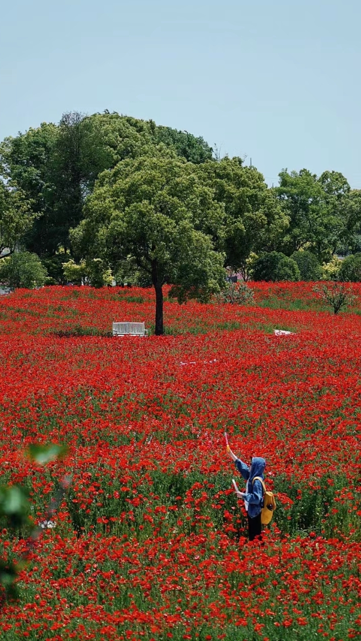 Foshan Travel Guide 2023 - Things to Do, What To Eat & Tips | Trip.com