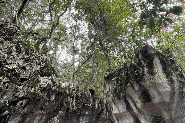 Paku Rock Maze Garden | Trip.com Bau