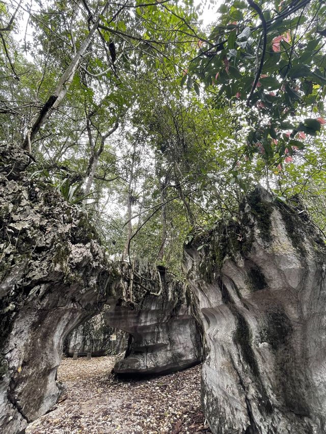 Paku Rock Maze Garden | Trip.com Bau