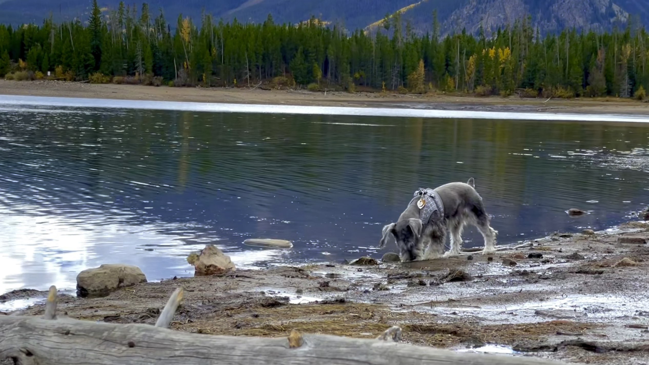 Dillon Travel Guide 2024 - Things to Do, What To Eat & Tips | Trip.com