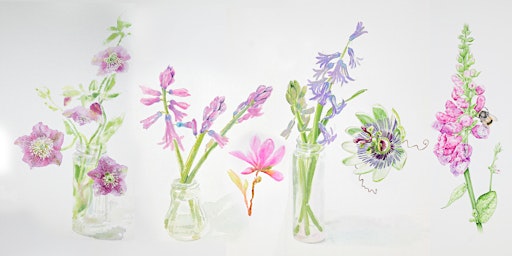 'Botanicals' a watercolour workshop with Rachel Henson | The Art Room的 ...