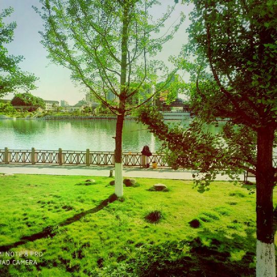 Huaihua 2023 Top Things to Do - Huaihua Travel Guides - Top Recommended ...