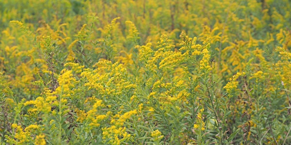 Northern Virginia Native Plants for Landscape Professionals Conference ...