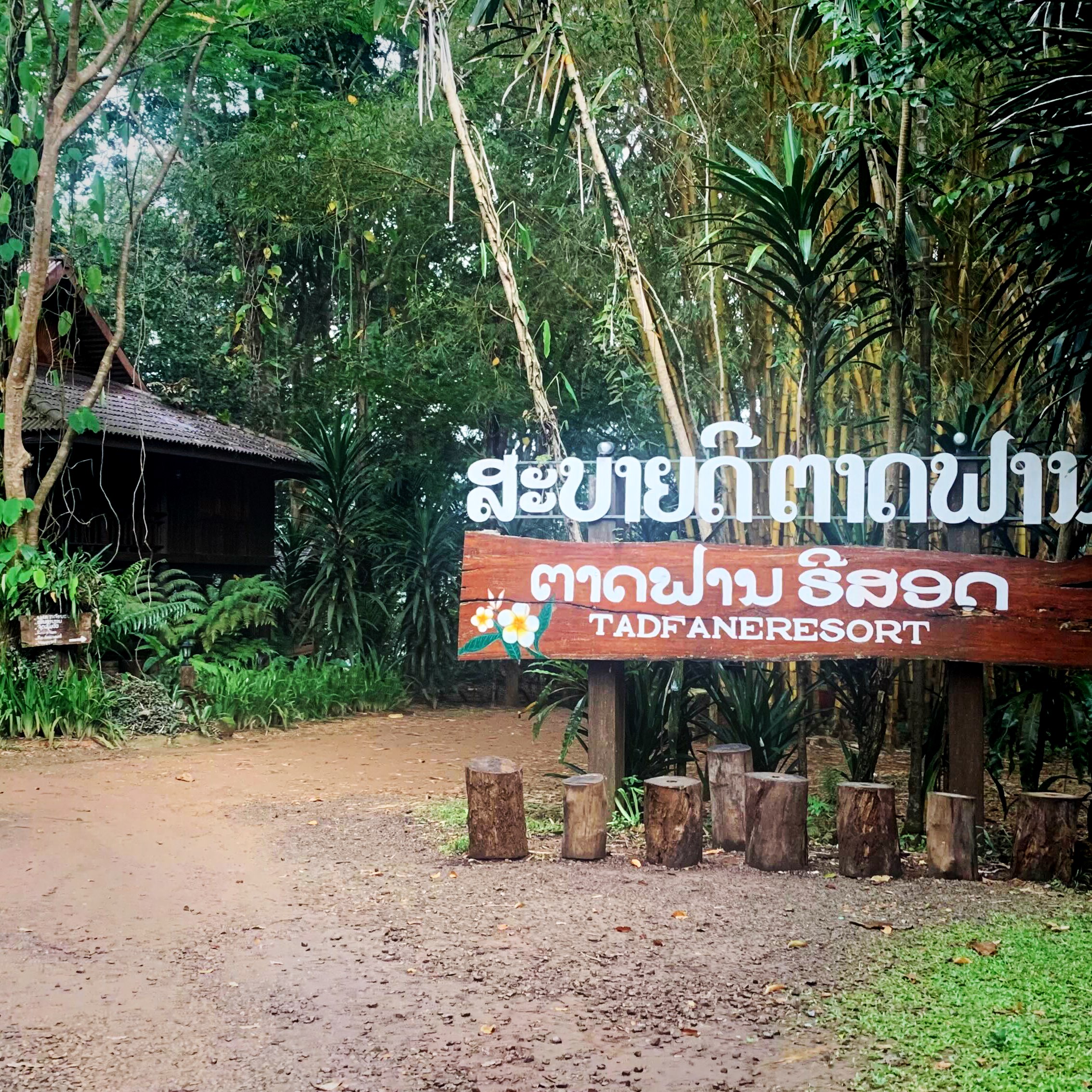 Champasak Province 2023 Top Things to Do - Champasak Province Travel ...