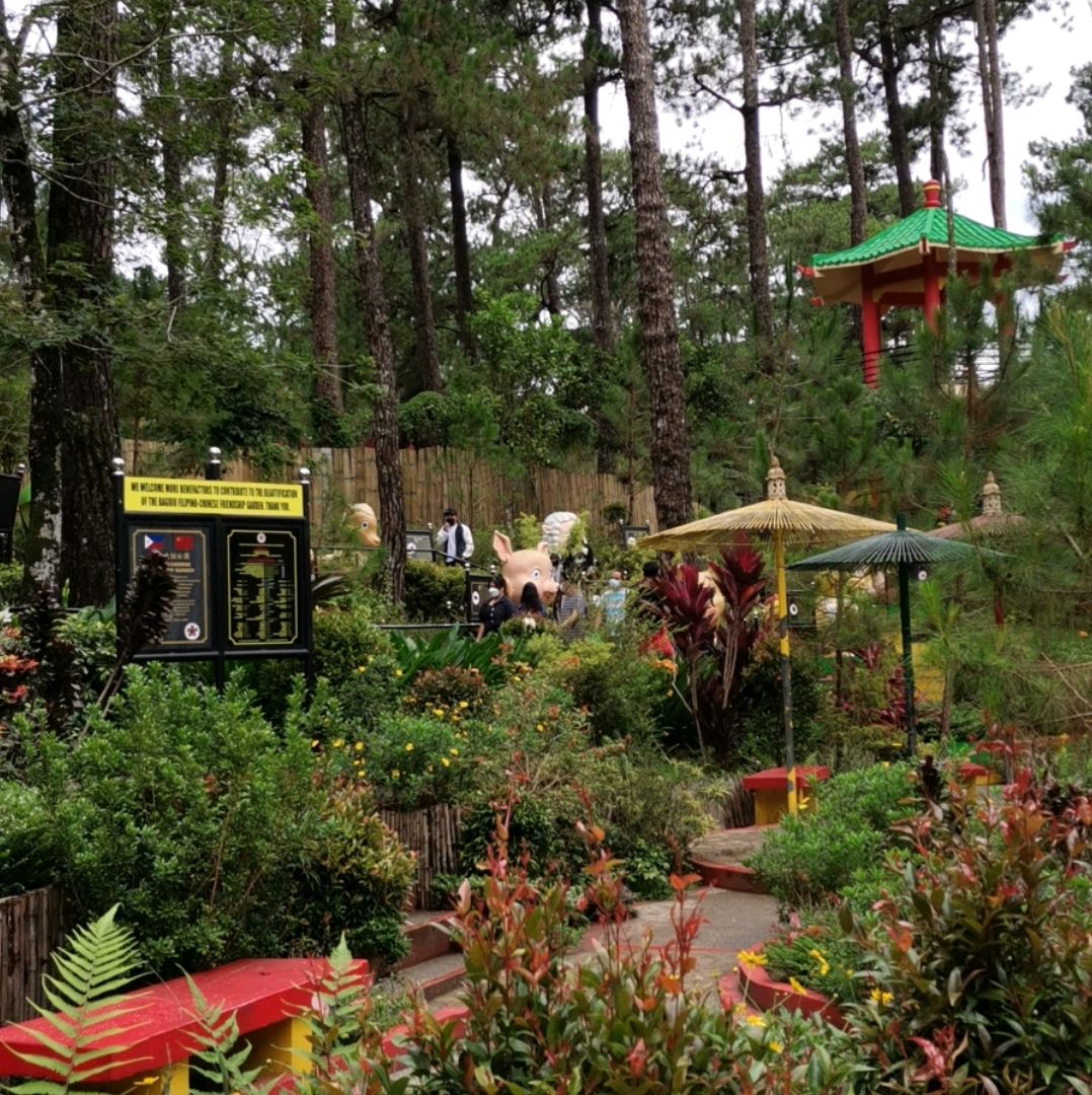 Baguio Botanical Garden Baguio Travel Guide: Where To Go And Where To