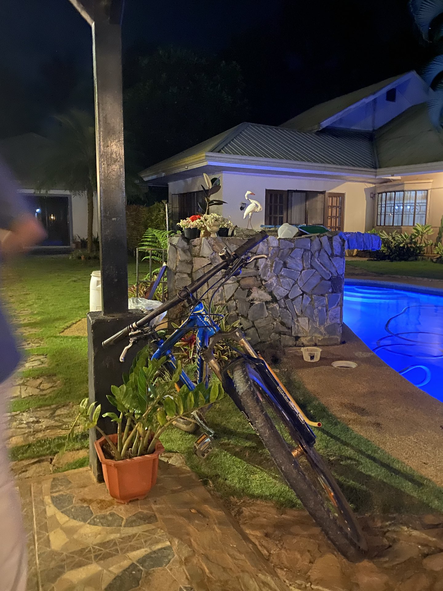 Manolo Fortich 2023 Top Things to Do - Manolo Fortich Travel Guides ...