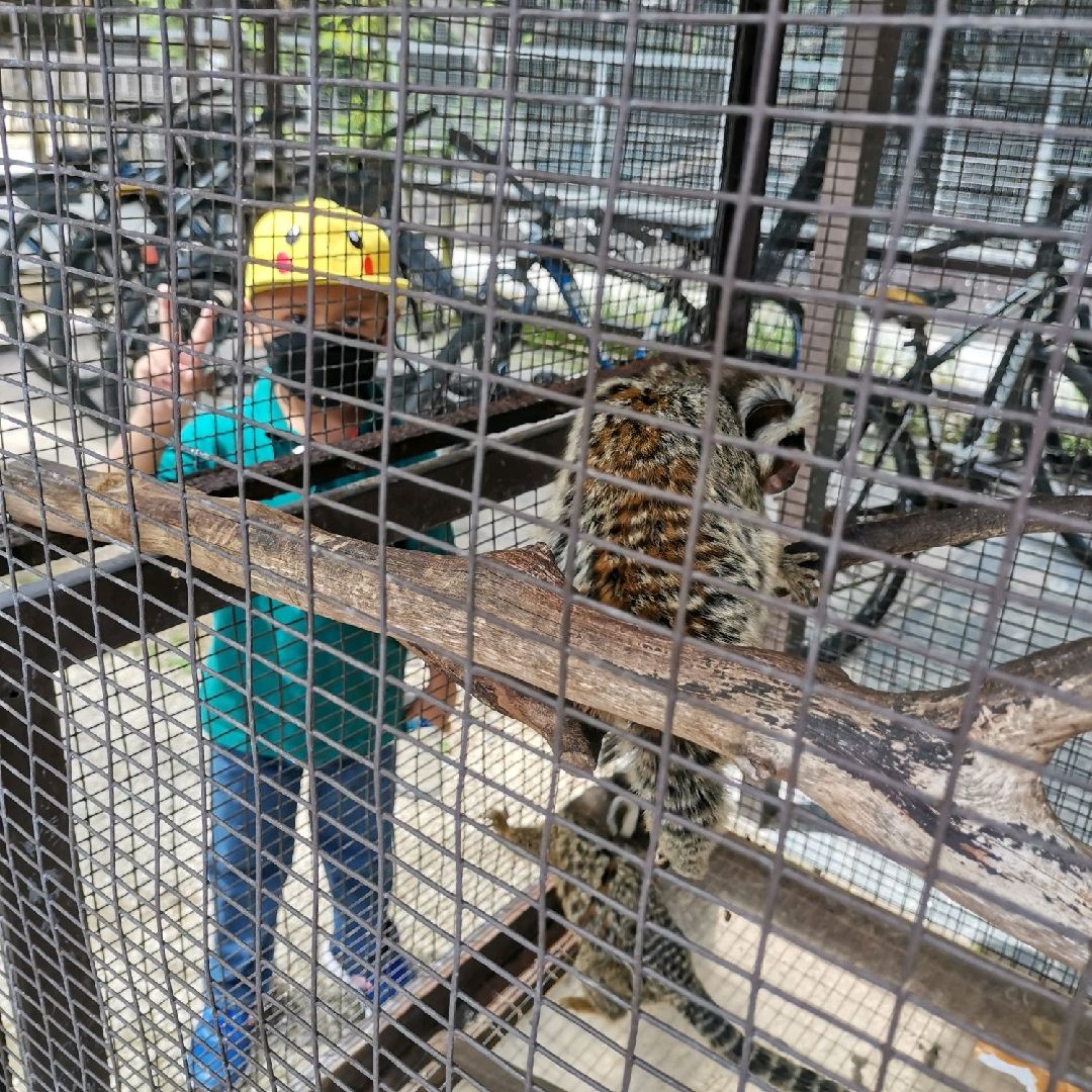 Tangkak District 2022 Top Things to Do - Tangkak District Travel Guides ...