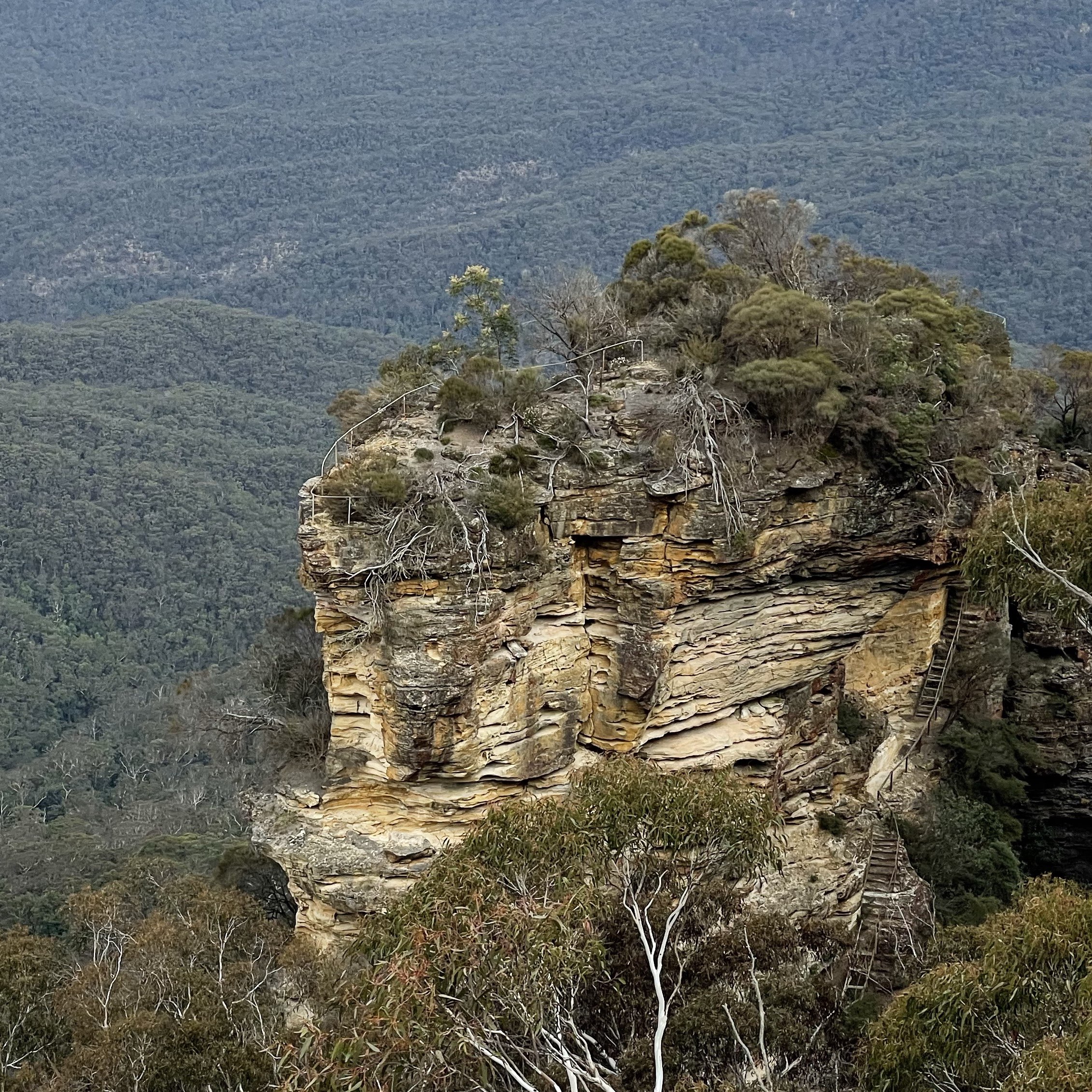 Katoomba Travel Guide 2024 - Things to Do, What To Eat & Tips | Trip.com