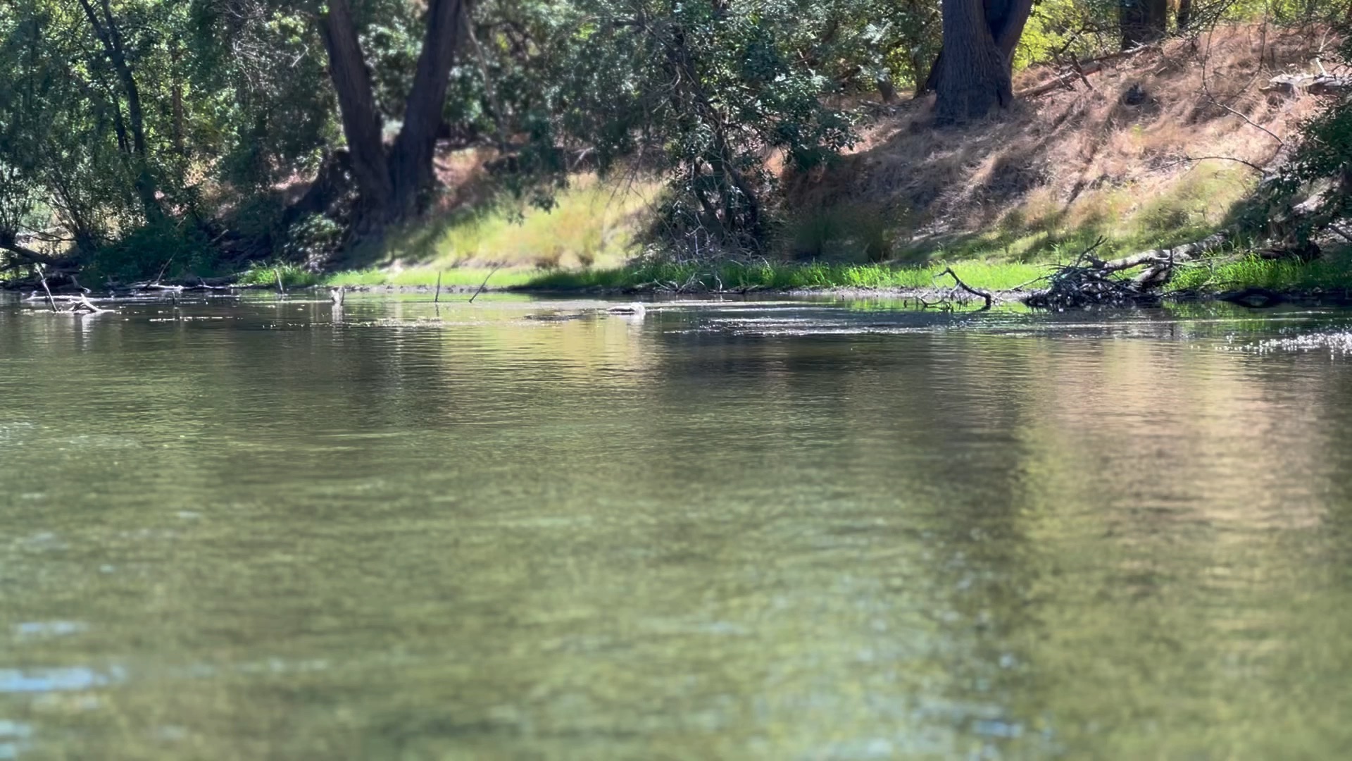 Modesto Travel Guide 2024 - Things to Do, What To Eat & Tips | Trip.com