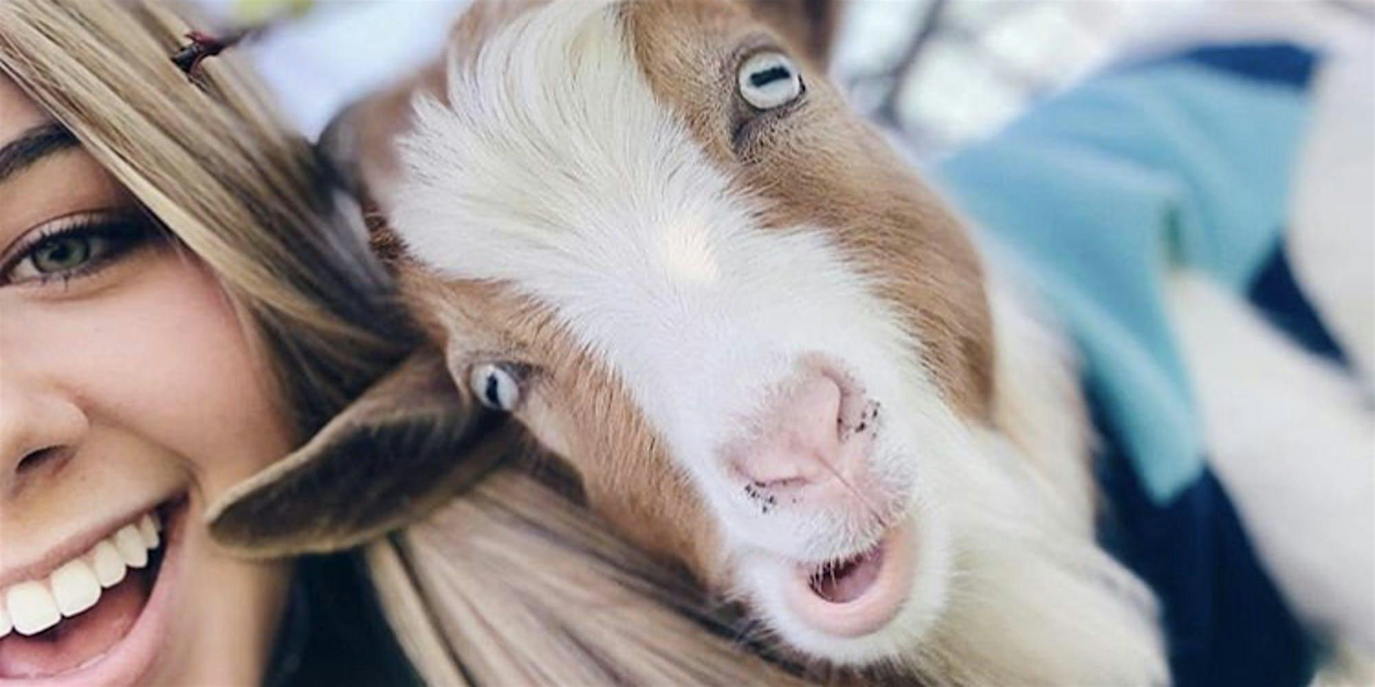 Red, White, and BAAAH-lue Goat Yoga McKinney! | TUPPS Brewery: Tickets ...
