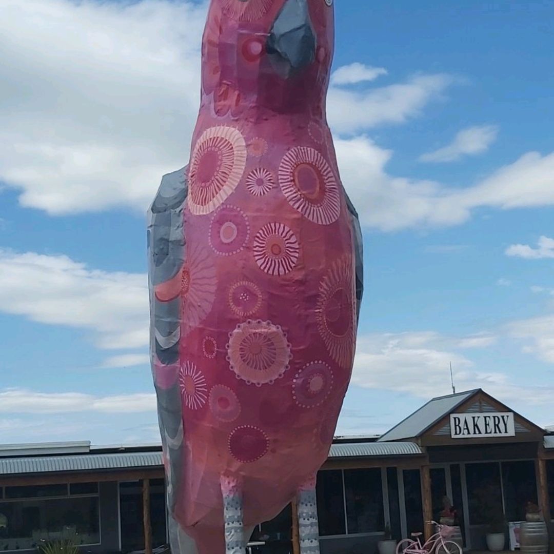 Kimba Travel Guide 2023 - Things to Do, What To Eat & Tips | Trip.com