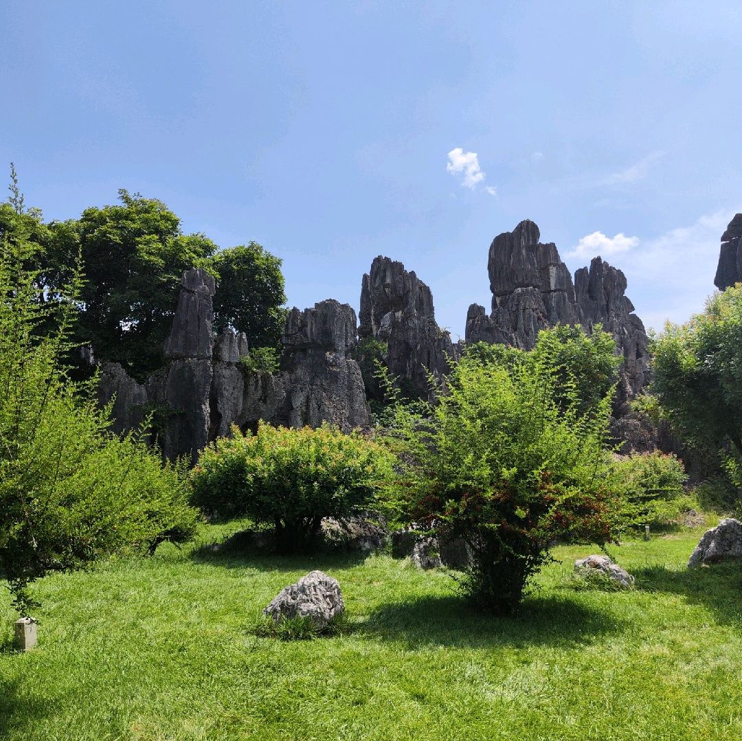 Shilin 2023 Top Things to Do - Shilin Travel Guides - Top Recommended ...