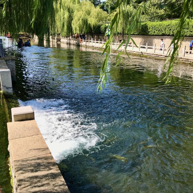 Black Tiger terrifying roar Spring, Jinan | Trip.com Jinan