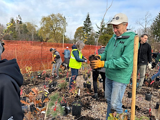Mini Forest 2.0 Tree Planting @ Fields of Uxbridge | 335 Durham ...