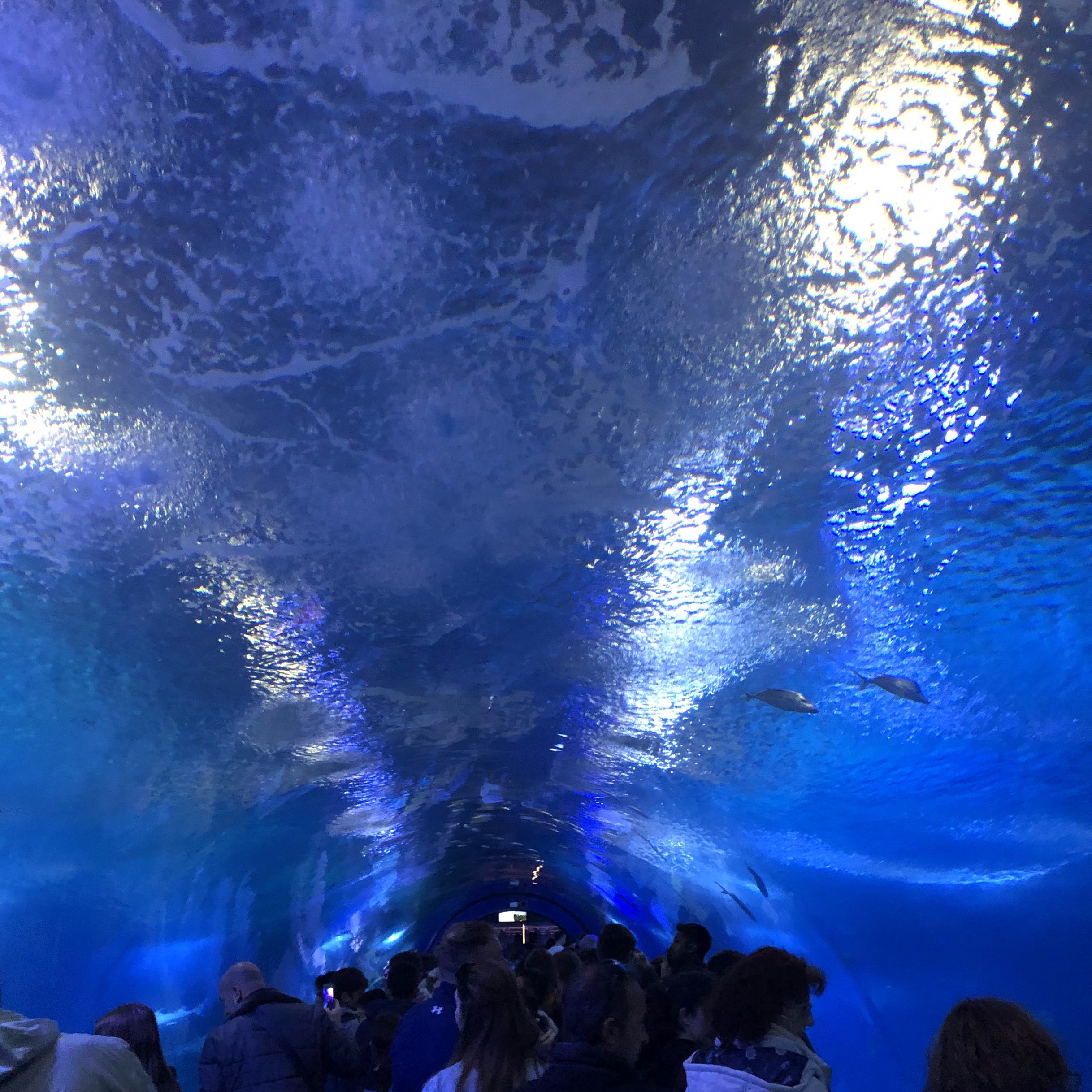 Valencia Travel Guide 2024 - Things to Do, What To Eat & Tips | Trip.com