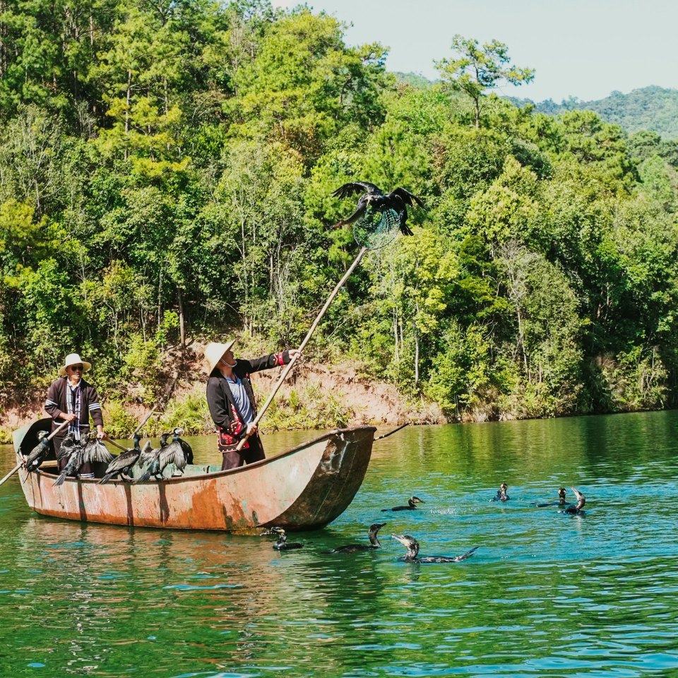 Pu'er Travel Guide 2024 - Things to Do, What To Eat & Tips | Trip.com