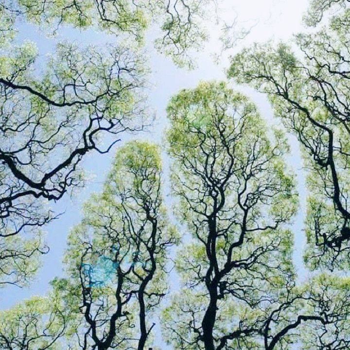 Navotas Travel Guide 2023 - Things to Do, What To Eat & Tips | Trip.com