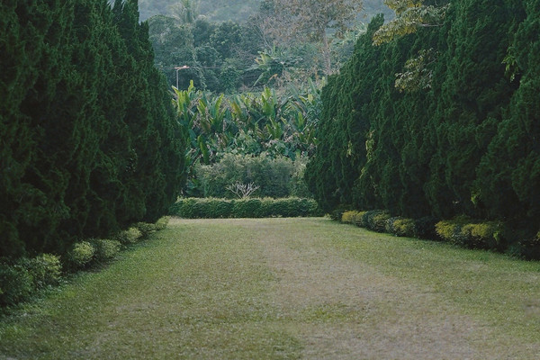 🌲Cypress Lanes 🌲 | Trip.com เชียงใหม่