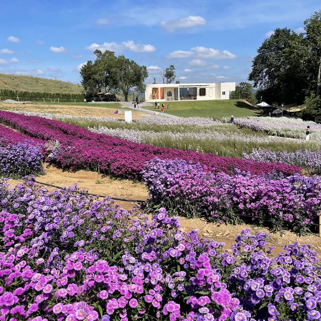 Floryday Khaoyai : Café & Flower 🌸 | Trip.com ตำบล หินตั้ง