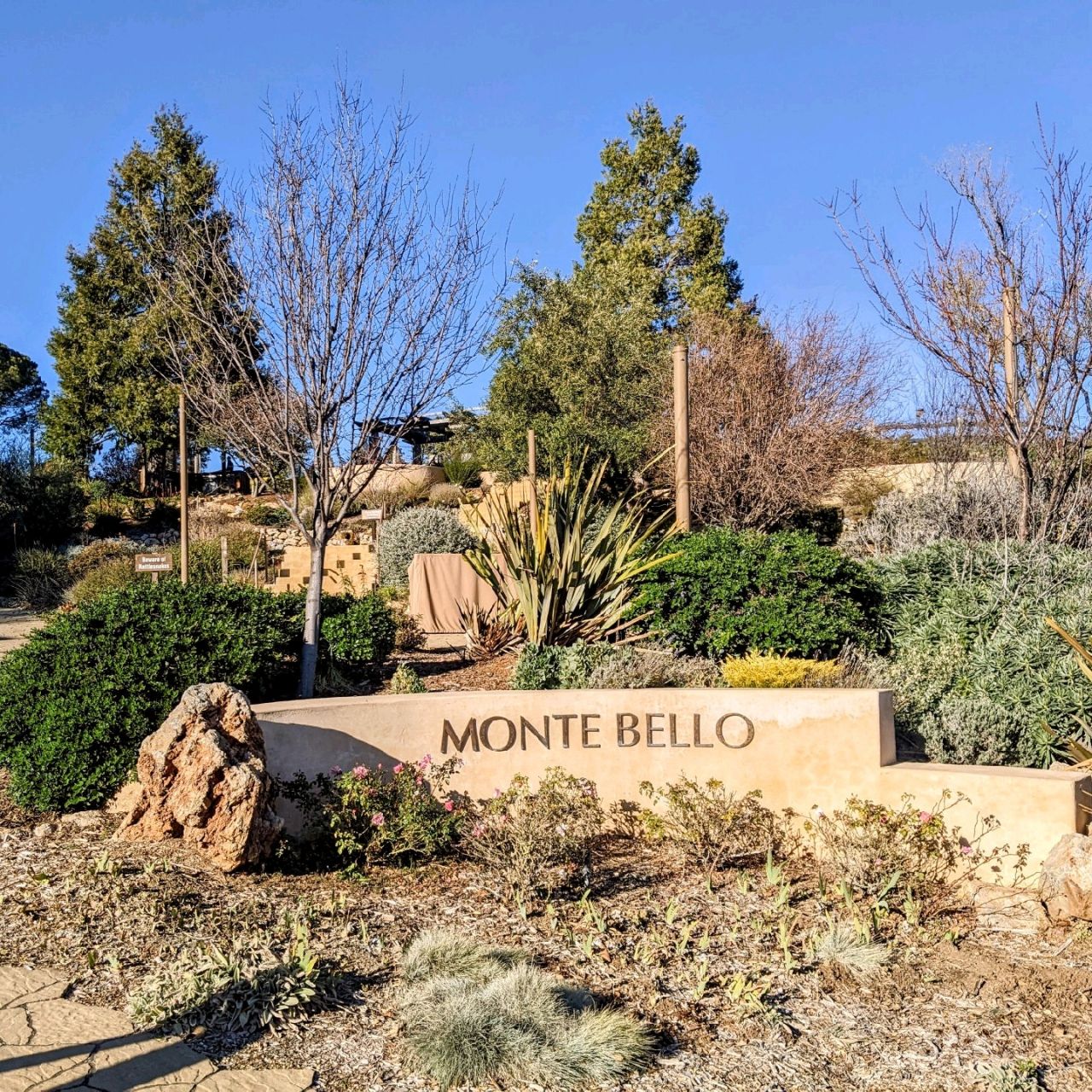 Cupertino Travel Guide 2024 - Things to Do, What To Eat & Tips | Trip.com