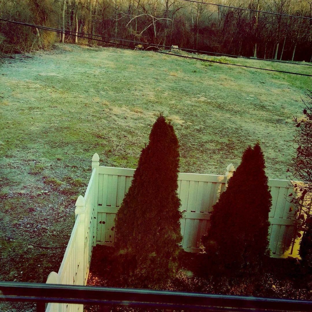 Canton Travel Guide 2023 - Things to Do, What To Eat & Tips | Trip.com