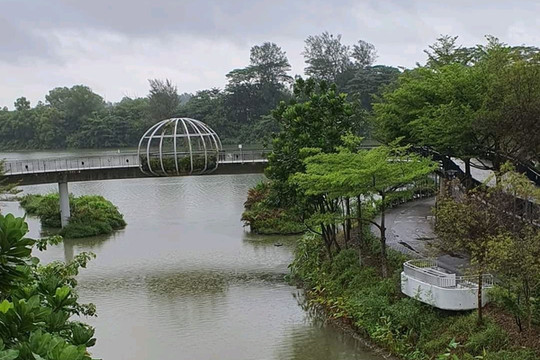 A visit to Jewel Bridge | Trip.com Singapore