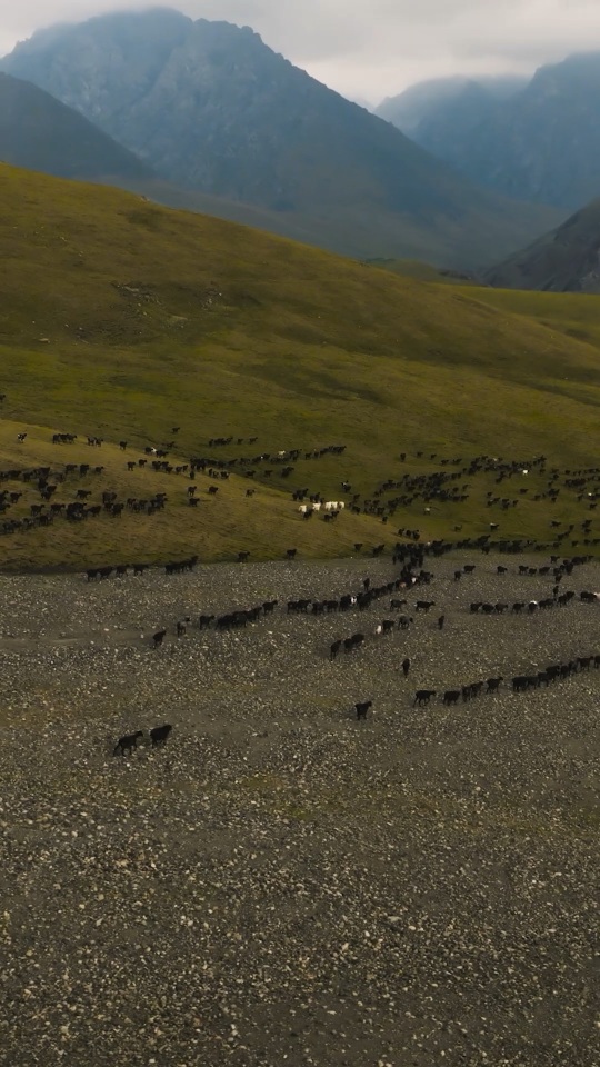 Urumqi Travel Guide 2024 - Things to Do, What To Eat & Tips | Trip.com