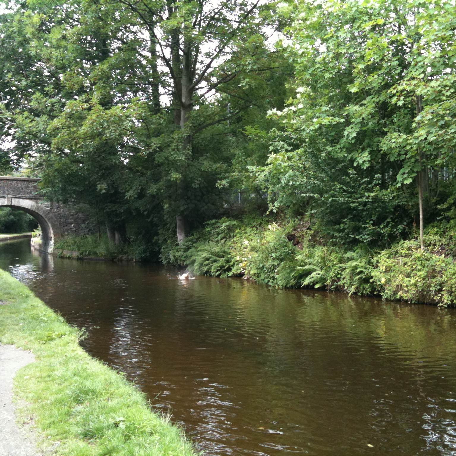 Wrexham 2023 Top Things to Do - Wrexham Travel Guides - Top Recommended ...