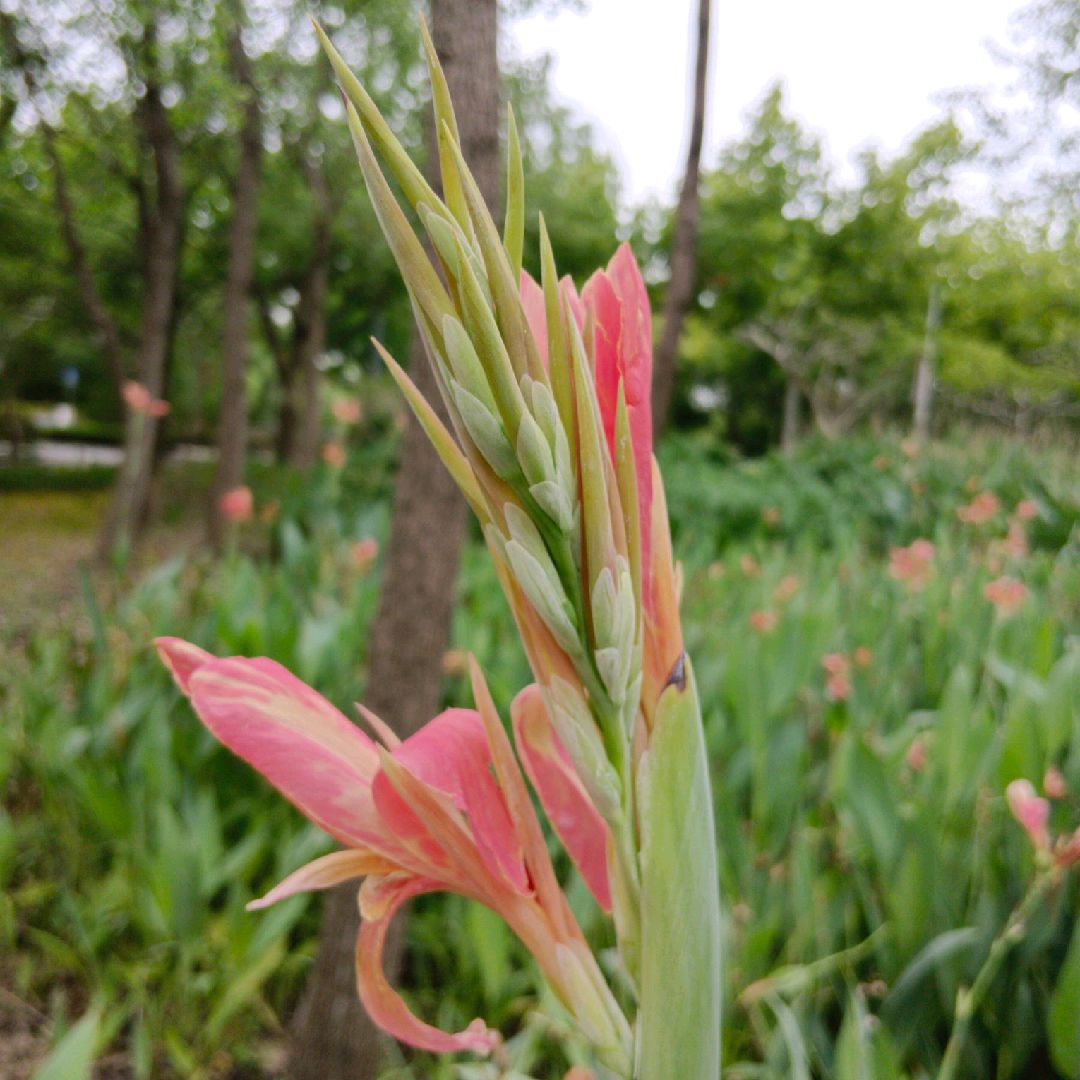 Songjiang District 2022 Top Things to Do - Songjiang District Travel ...