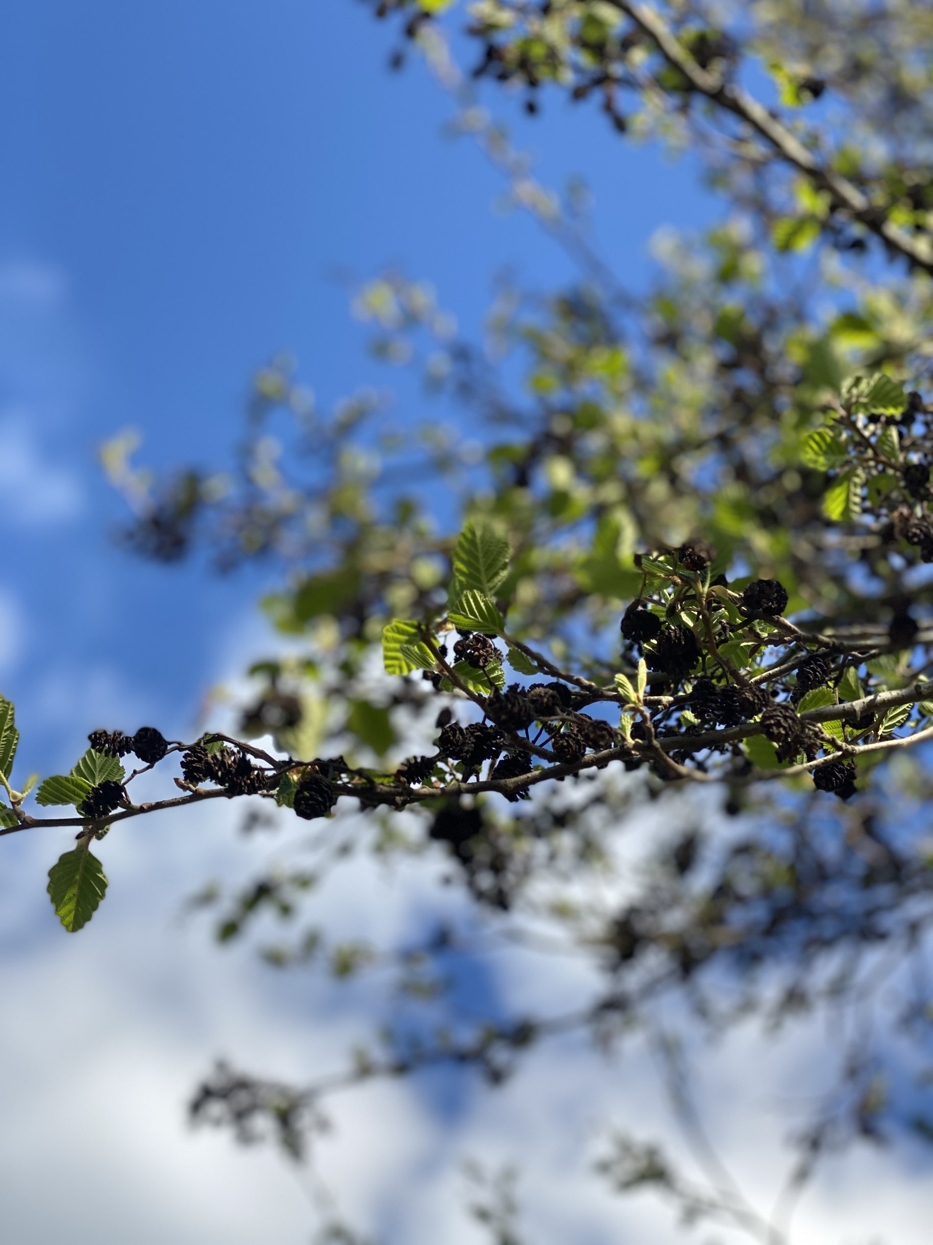 Kolding Travel Guide 2024 - Things to Do, What To Eat & Tips | Trip.com