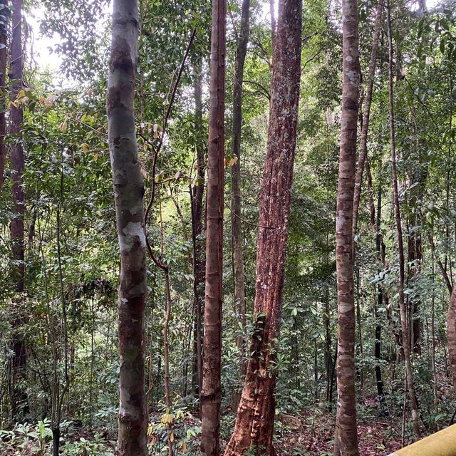 The Mount Matang Hindu Temple, Sarawak | Trip.com Kuching