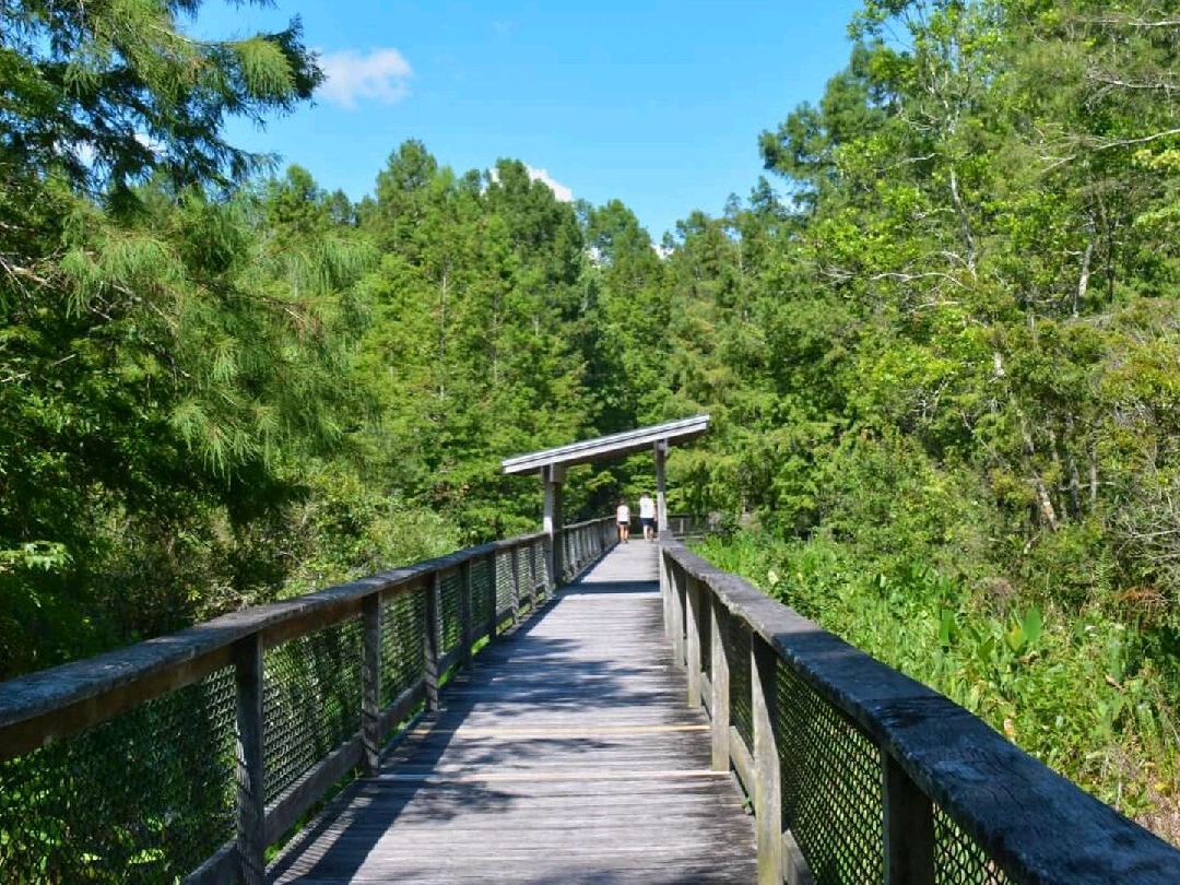 Collier County Travel Guide 2024 - Things to Do, What To Eat & Tips ...