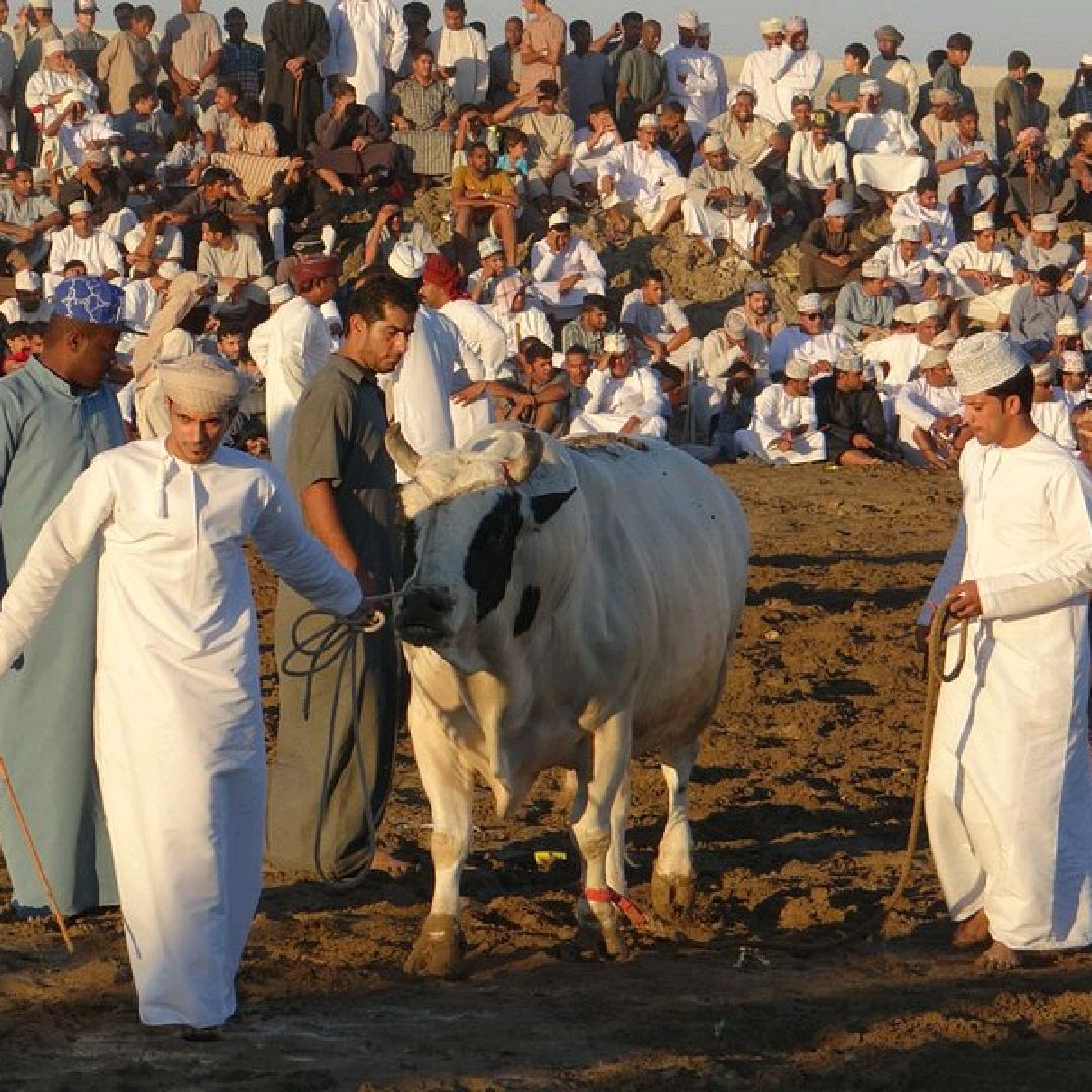 Barka Travel Guide 2023 - Things to Do, What To Eat & Tips | Trip.com