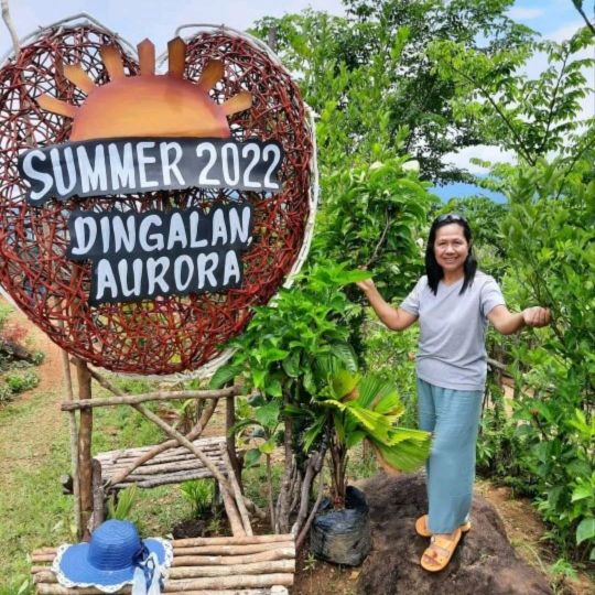 Aurora Travel Guide 2024 - Things to Do, What To Eat & Tips | Trip.com