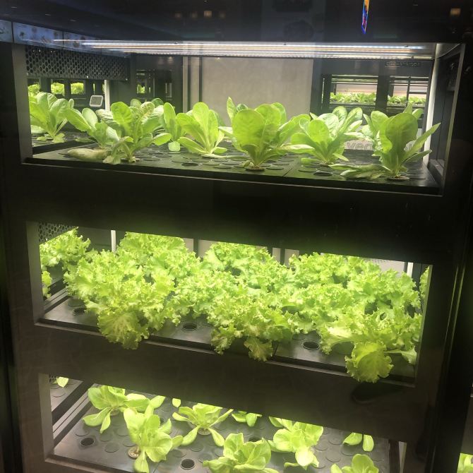 Genting Garden Hotpot.. innovative idea | Trip.com Genting Highlands ...